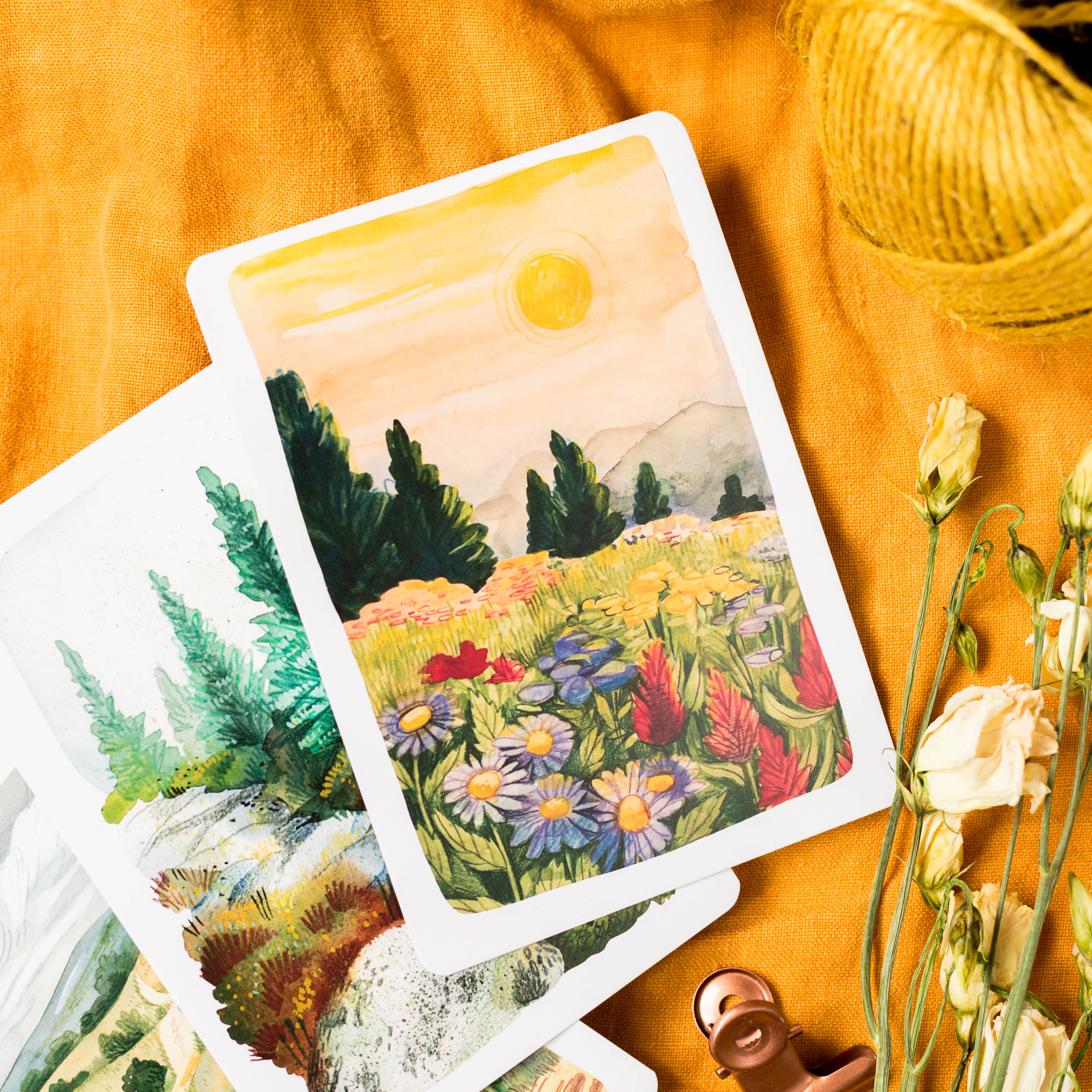 Postcards – Wild Pencil