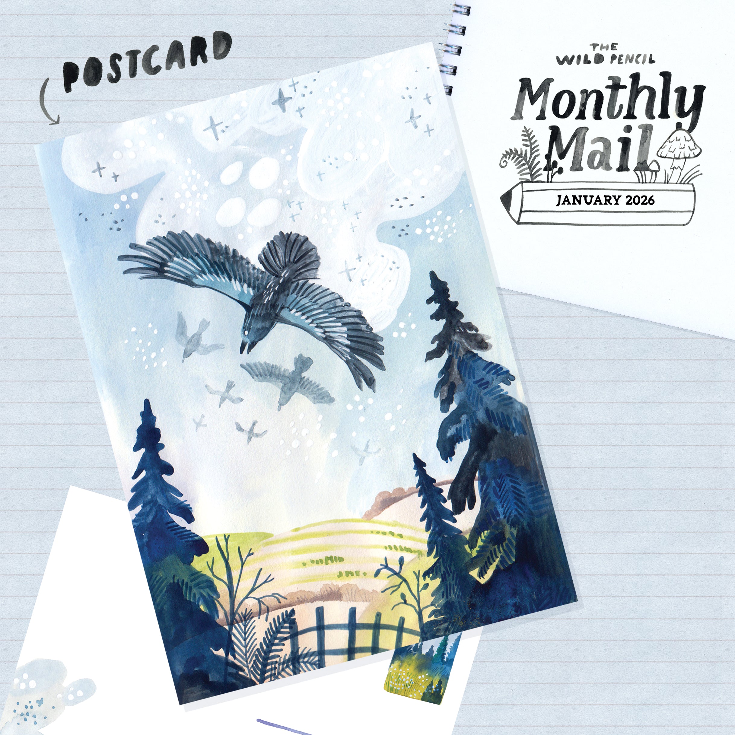 Monthly Postcard Subscription – Wild Pencil